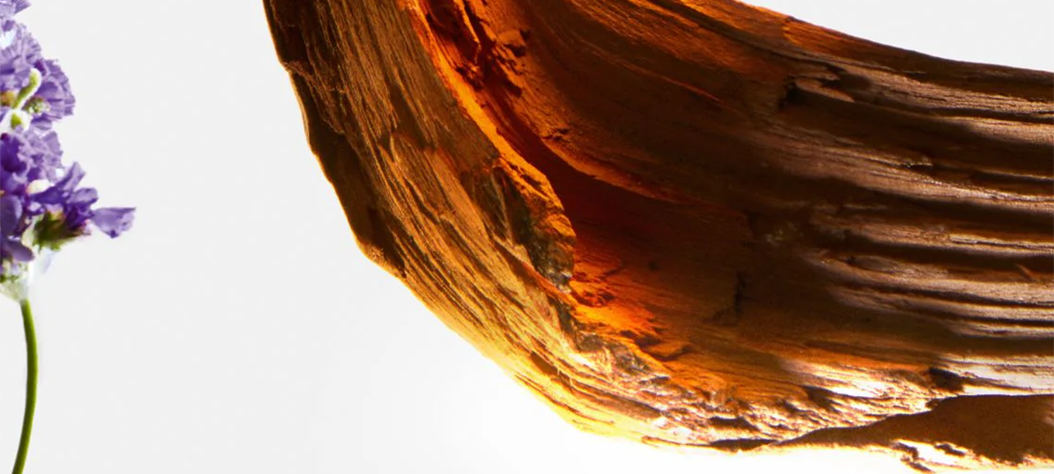 WHAT ARE THE NOTES OF AN AMBER FRAGRANCE? – Goutal Paris US