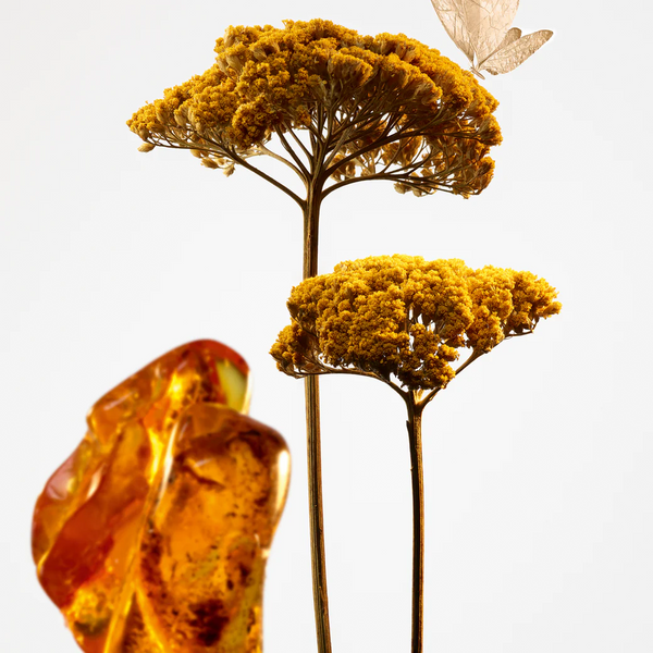 Sables - Eau de Parfum | Goutal Paris – Goutal Paris US